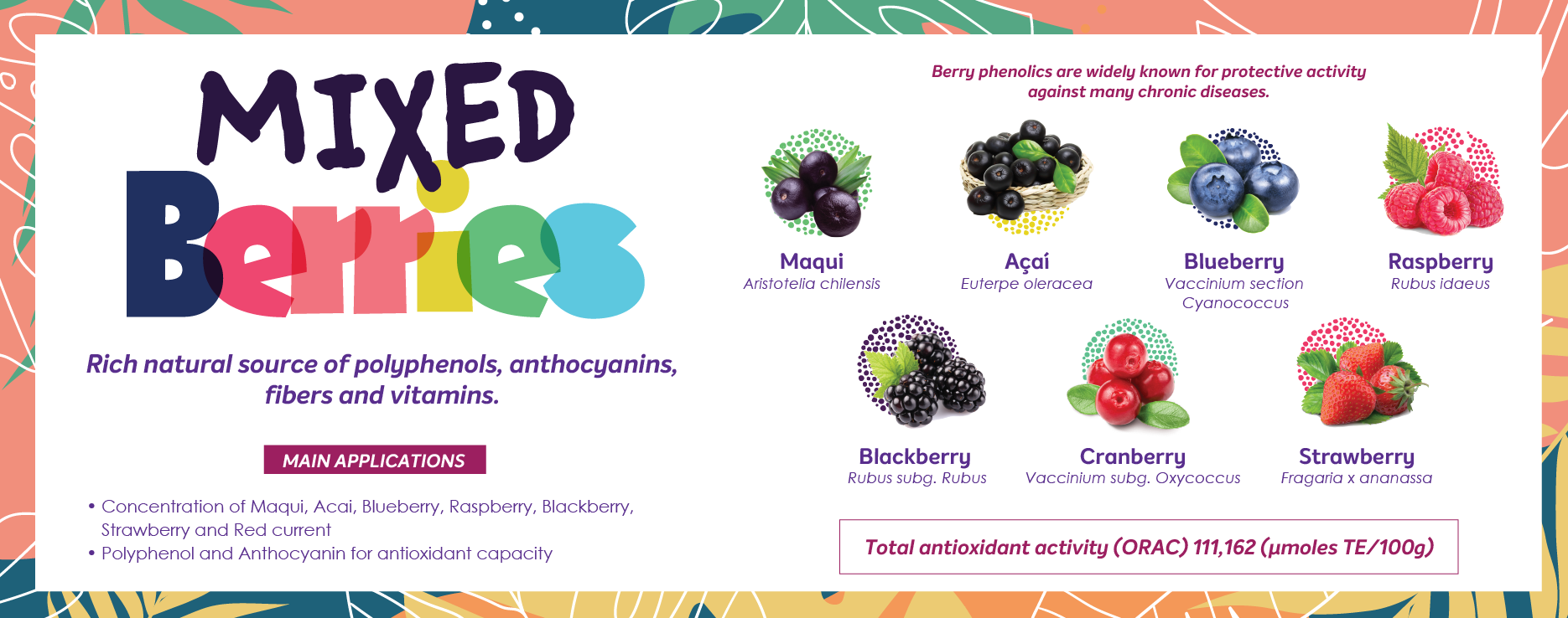 Your Ingredient Innovation Partner